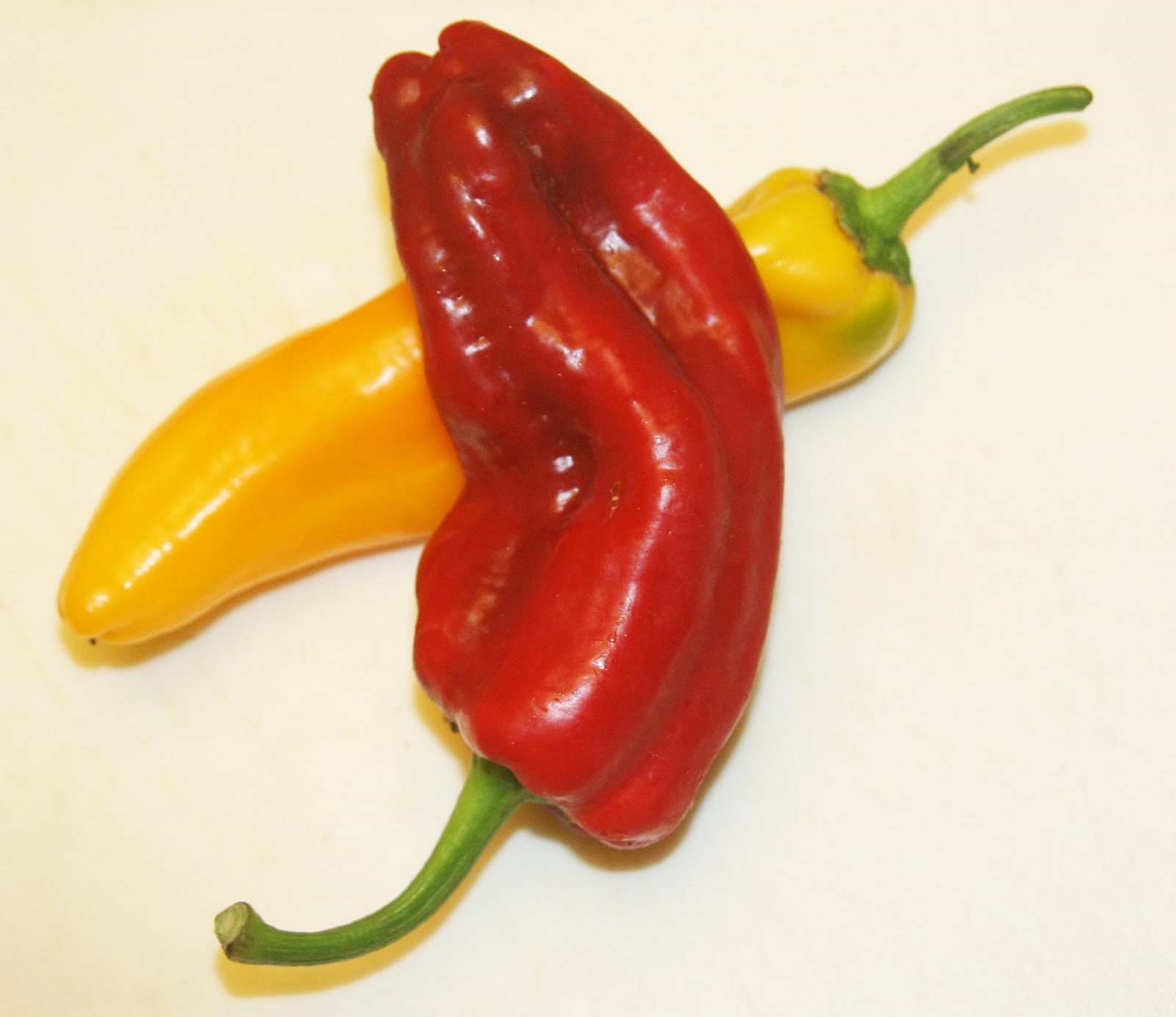 The migratory kitchen: Sicilian style vegetable medley - Caponatina di ...