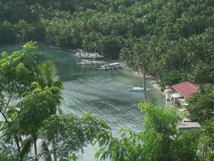 Barangay Nasunogan | Banton-Island