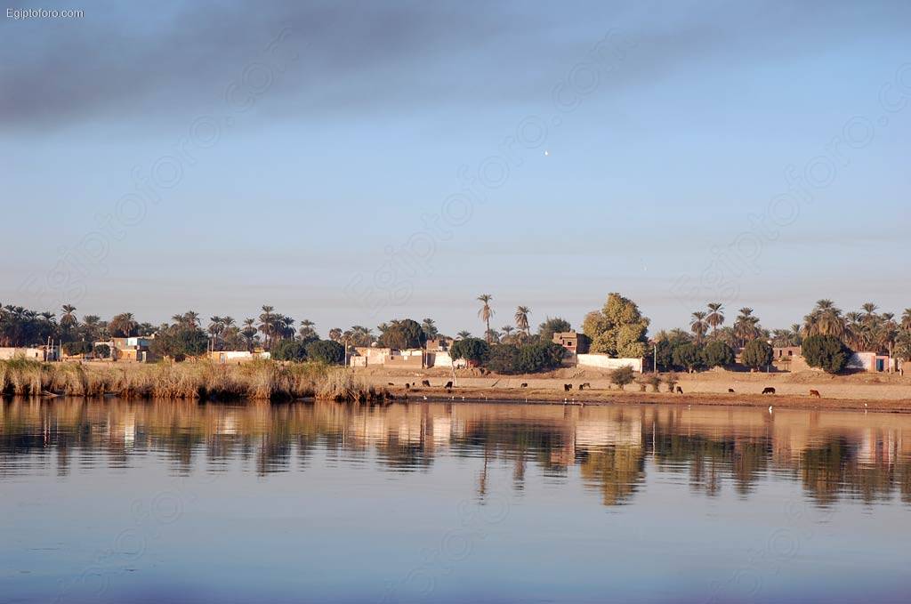 Info Egipto: El Rio Nilo