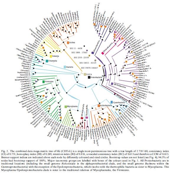 Catalogue of Organisms: The Attack of Mega-matrix