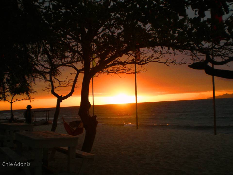 take a trip: The Aliguay Island Adventure