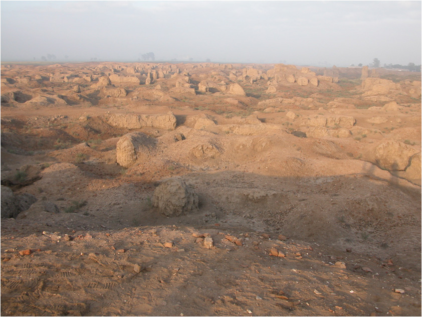 Thmuis - Alchetron, The Free Social Encyclopedia