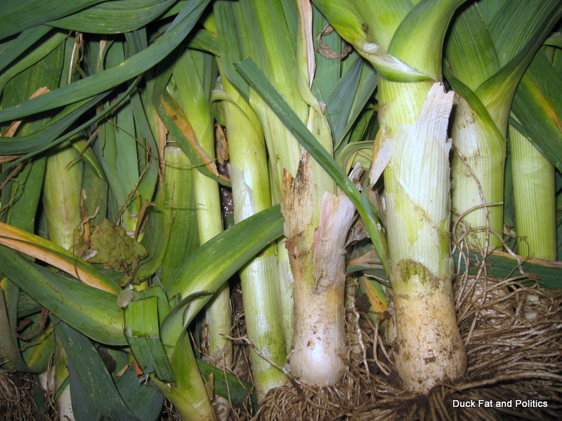 Duck Fat and Politics: 2010