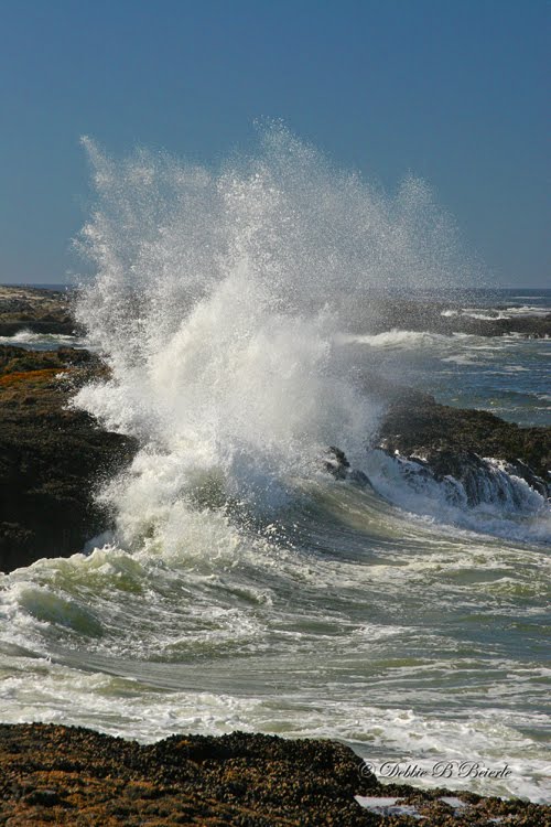 Nature is Wildly Wild: Green Billows