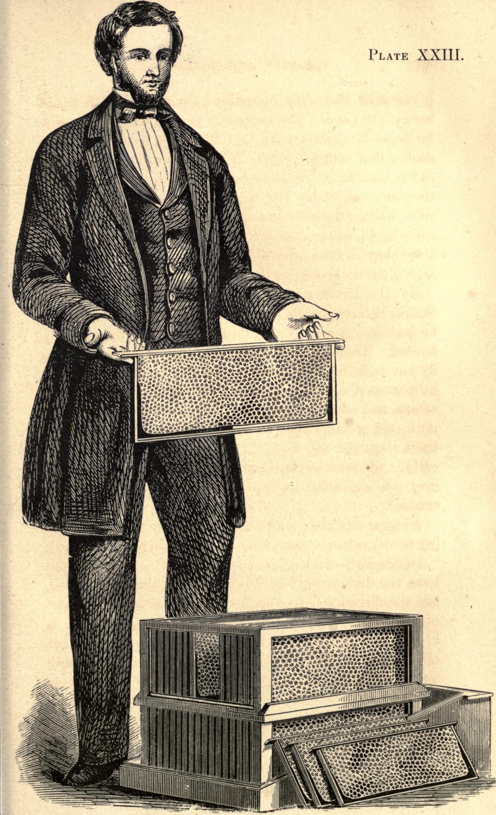 Vintage Ephemera: Engraving, man with bee hives, 1860
