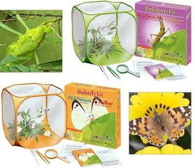 INSECTARIO DE BIOLOGIA