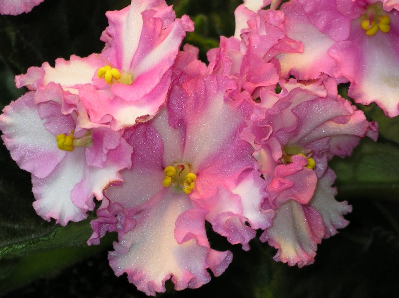 ashworth associates public relations