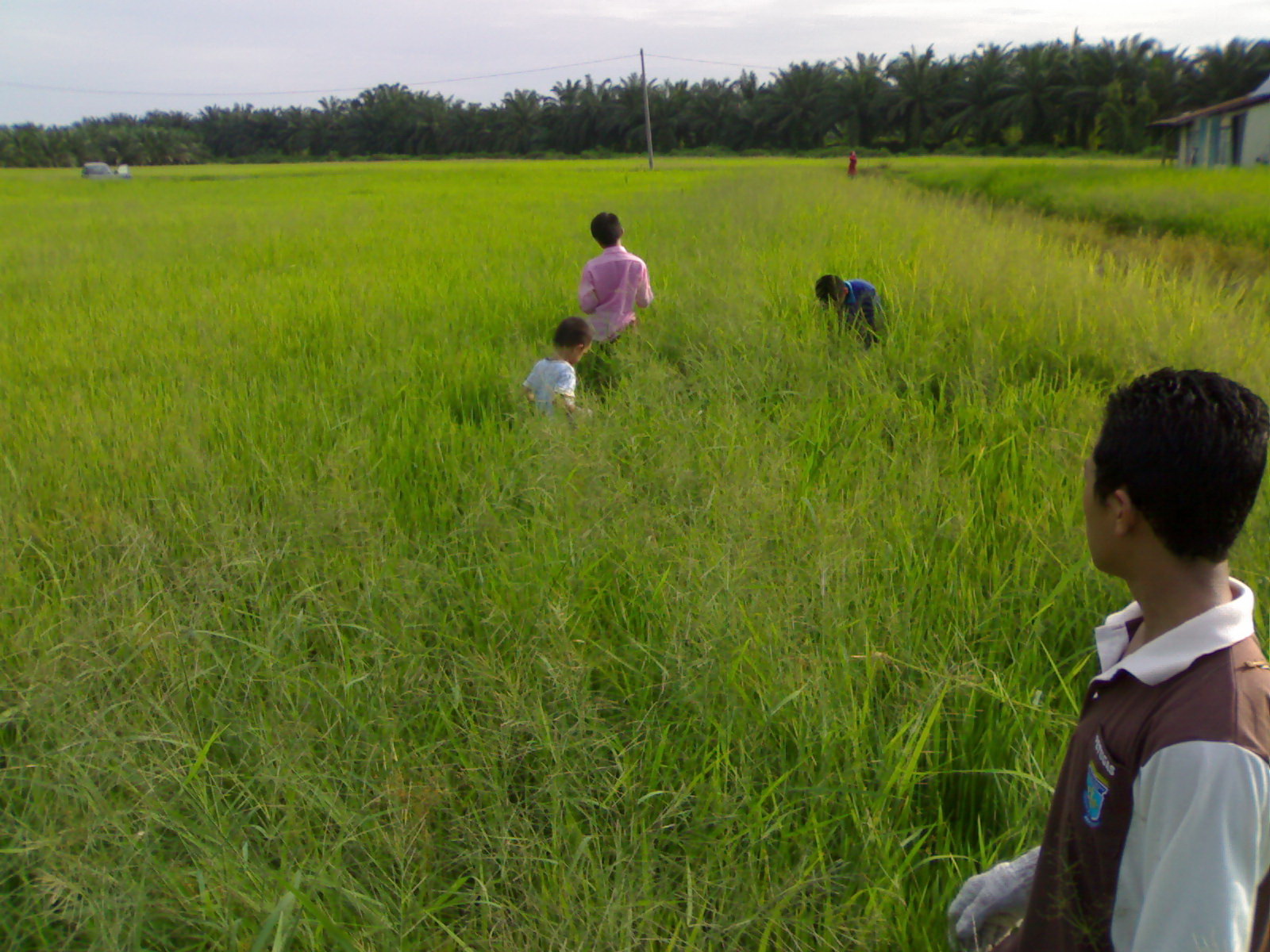 BAKTI DISEMAI DAN JANJI DITUNAI: KAWALAN RUMPAI SECARA INSANI ( 68 HLT )