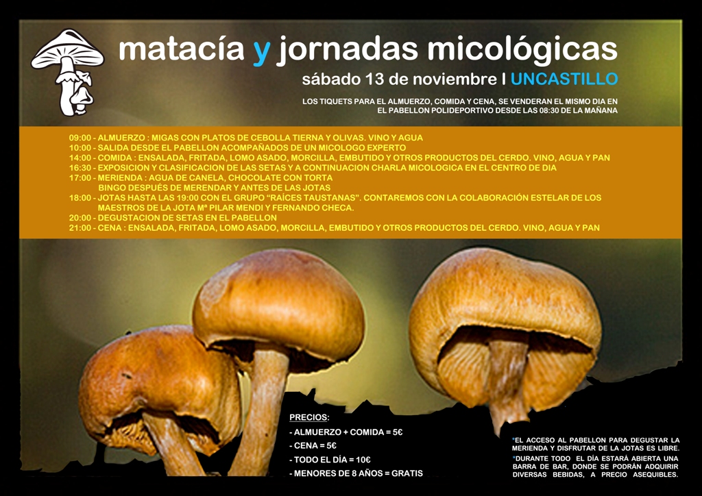 Campings Zaragoza: II Jornadas de la matacia en Uncastillo