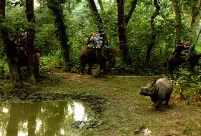TOURISM: CHITWAN