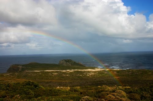 Cape Point Route: Launch of the Flying Dutchman Funicular