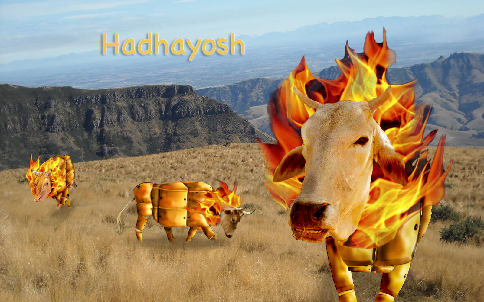 TC's Blog: Hadhayosh