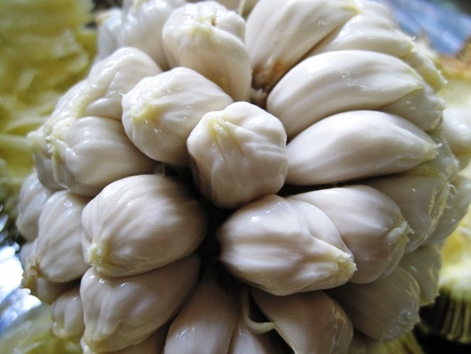 Foodiva's Kitchen: Fruit From My Homeland 5 - Tarap (Marang)