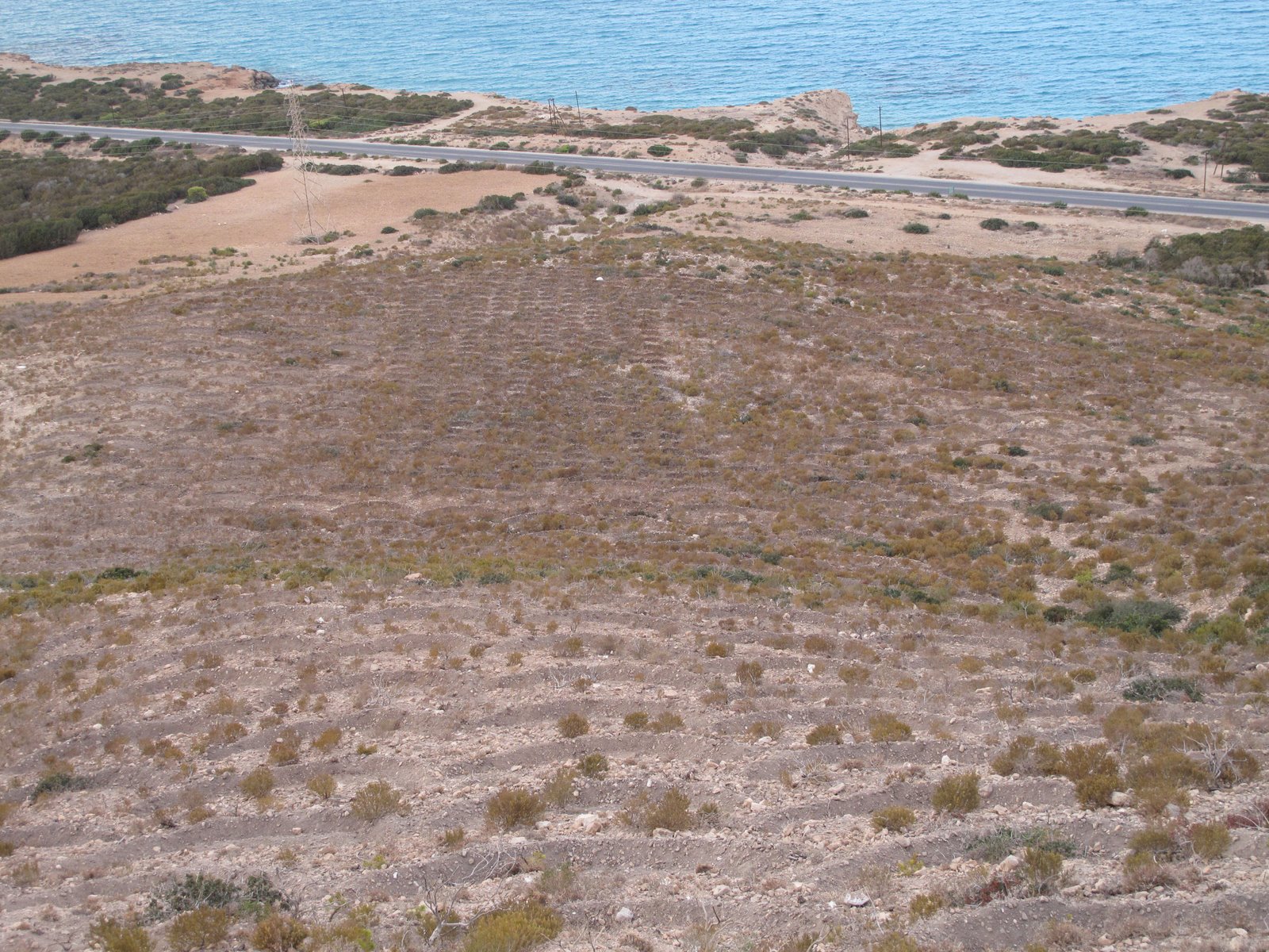 Multipurpose Afforestation Project - Libya: Ra's Al Hilal - Soil ...