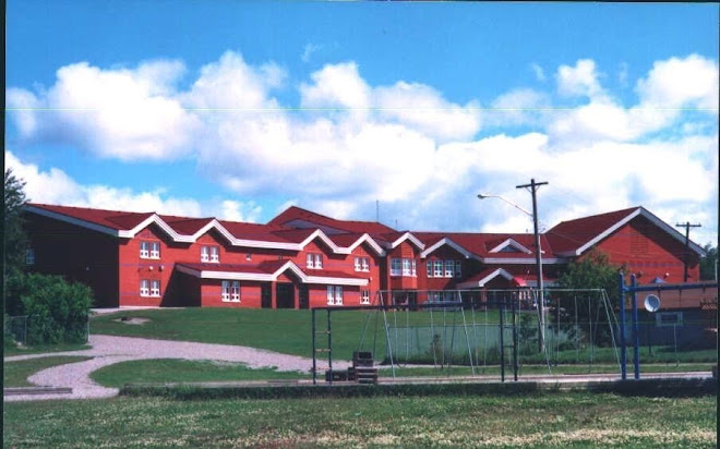 GLC Grade 7: Gary Paulsen Literature Cirles