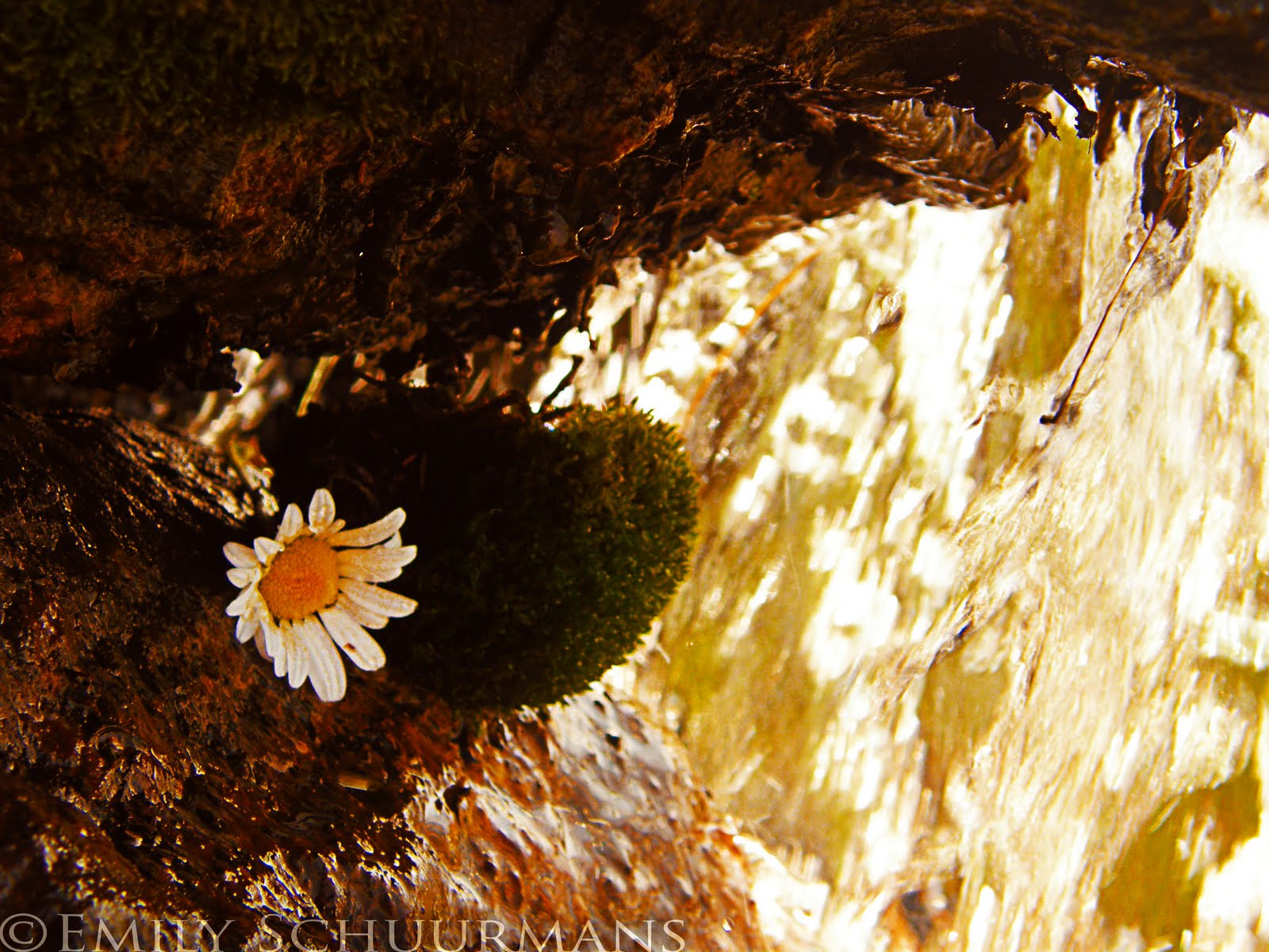 Every Thought Captive: In the Cleft of the Rock