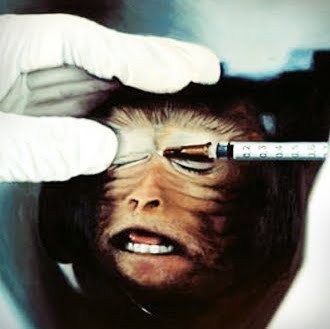 LABORATORIO | MALTRATO ANIMAL