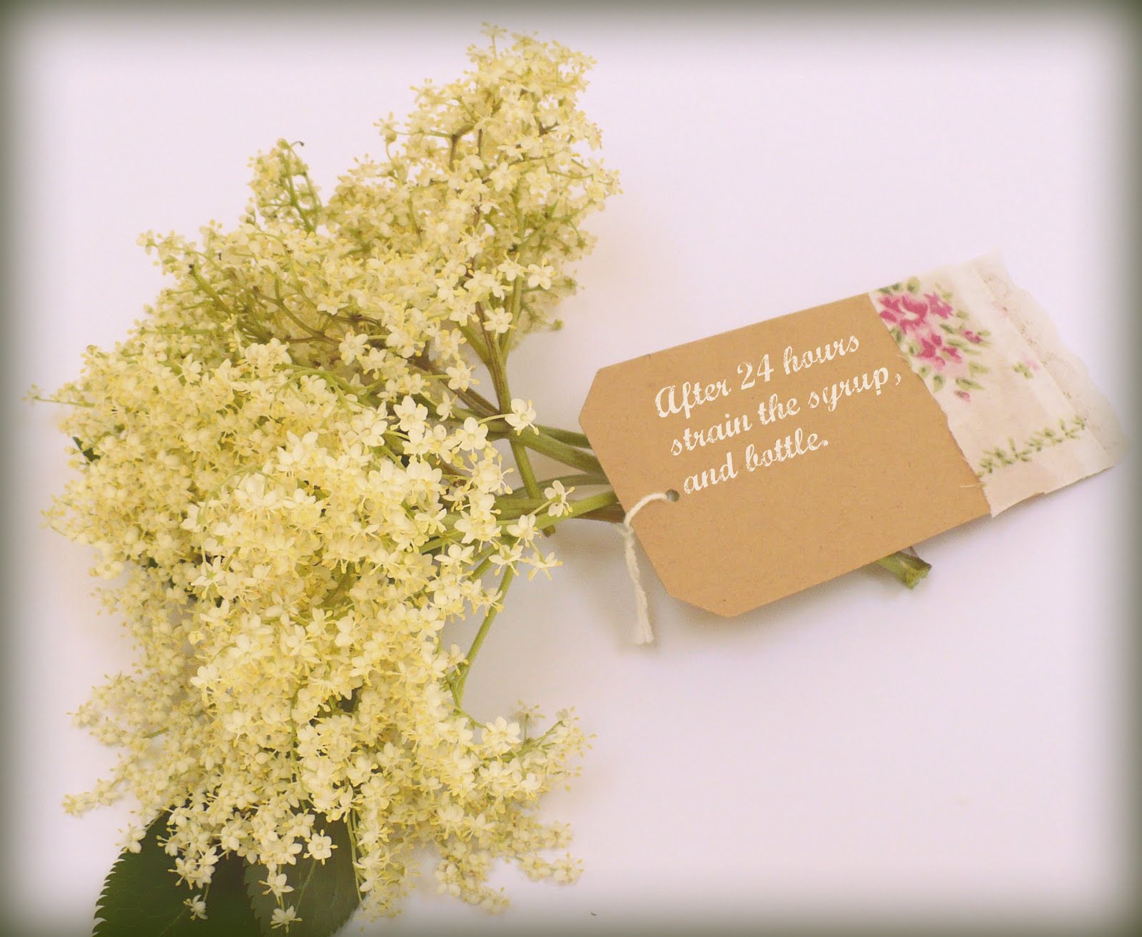 Amelie's House: ELDERFLOWER CORDIAL