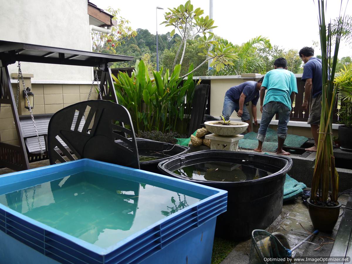 CaHaYa CiNta Ku: CuCi KoLaM iKaN