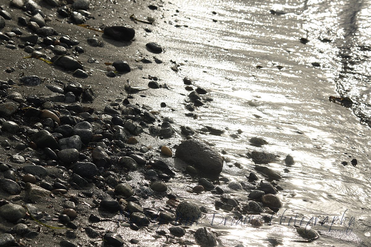 Best Shed Plans: Plans to Making Garden Bench Back Angle PDF Download