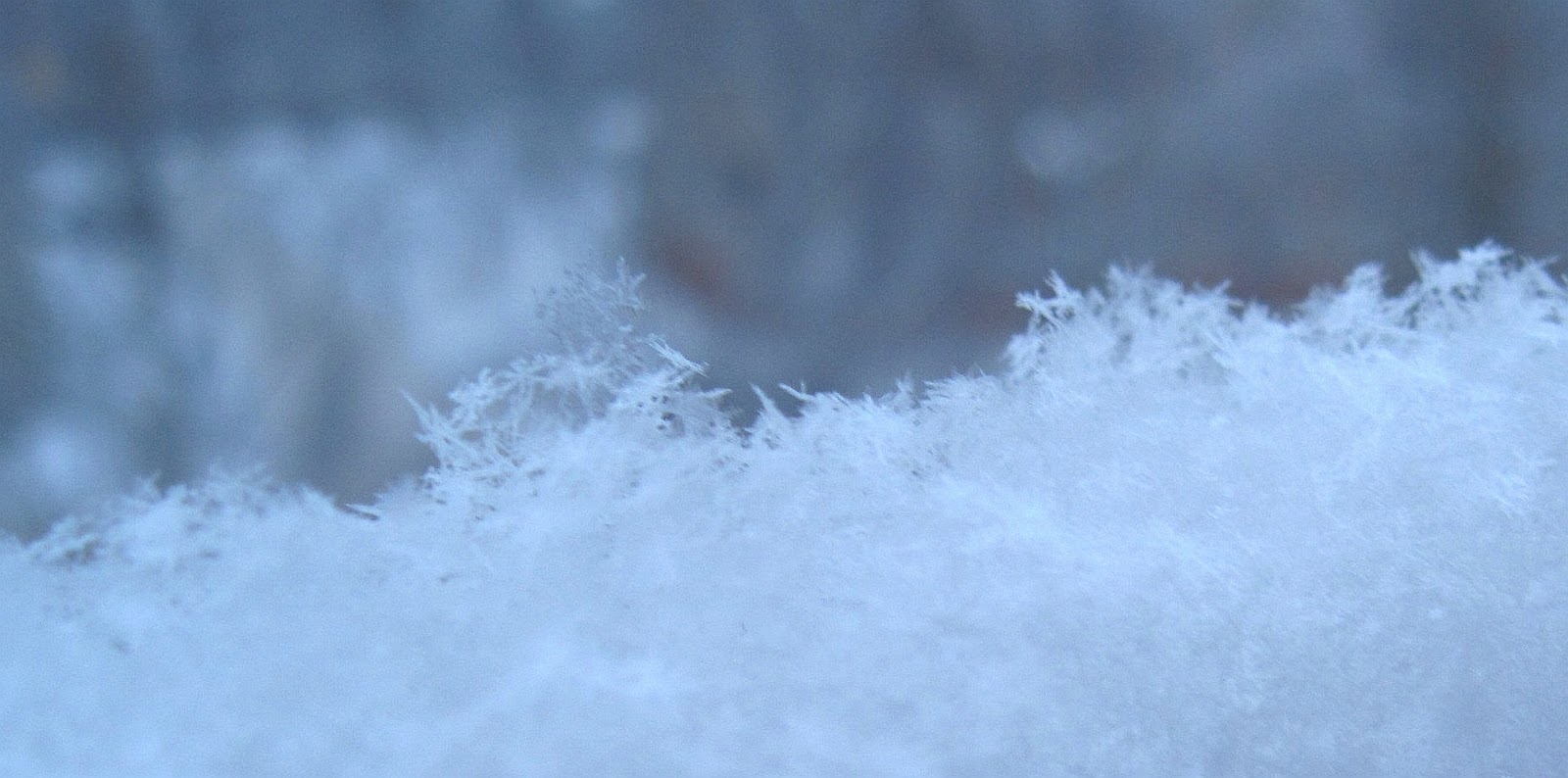 B's Life with English: Snow