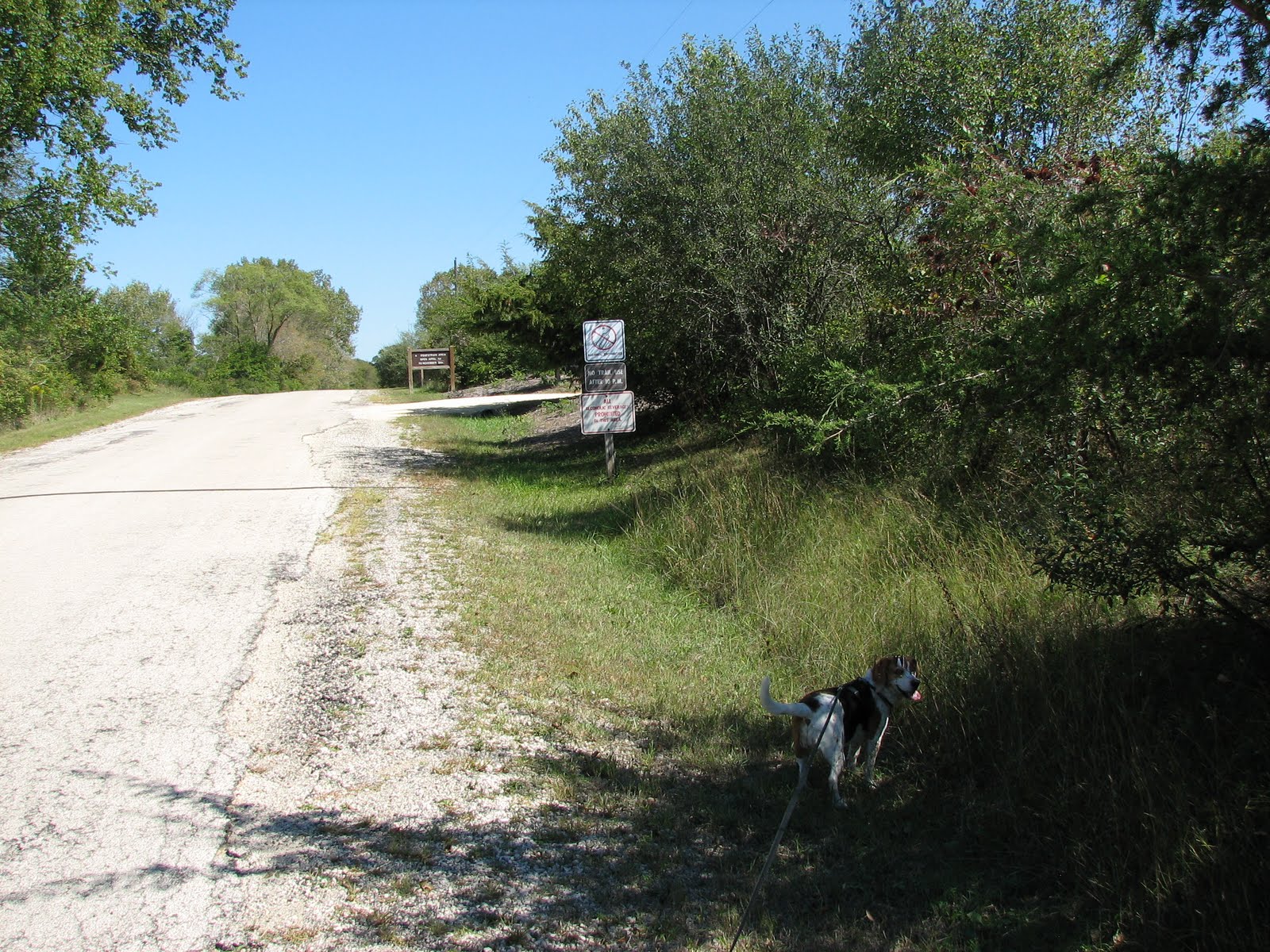 Musings from Illinois: More of the creek beagle Rock Cut State Park