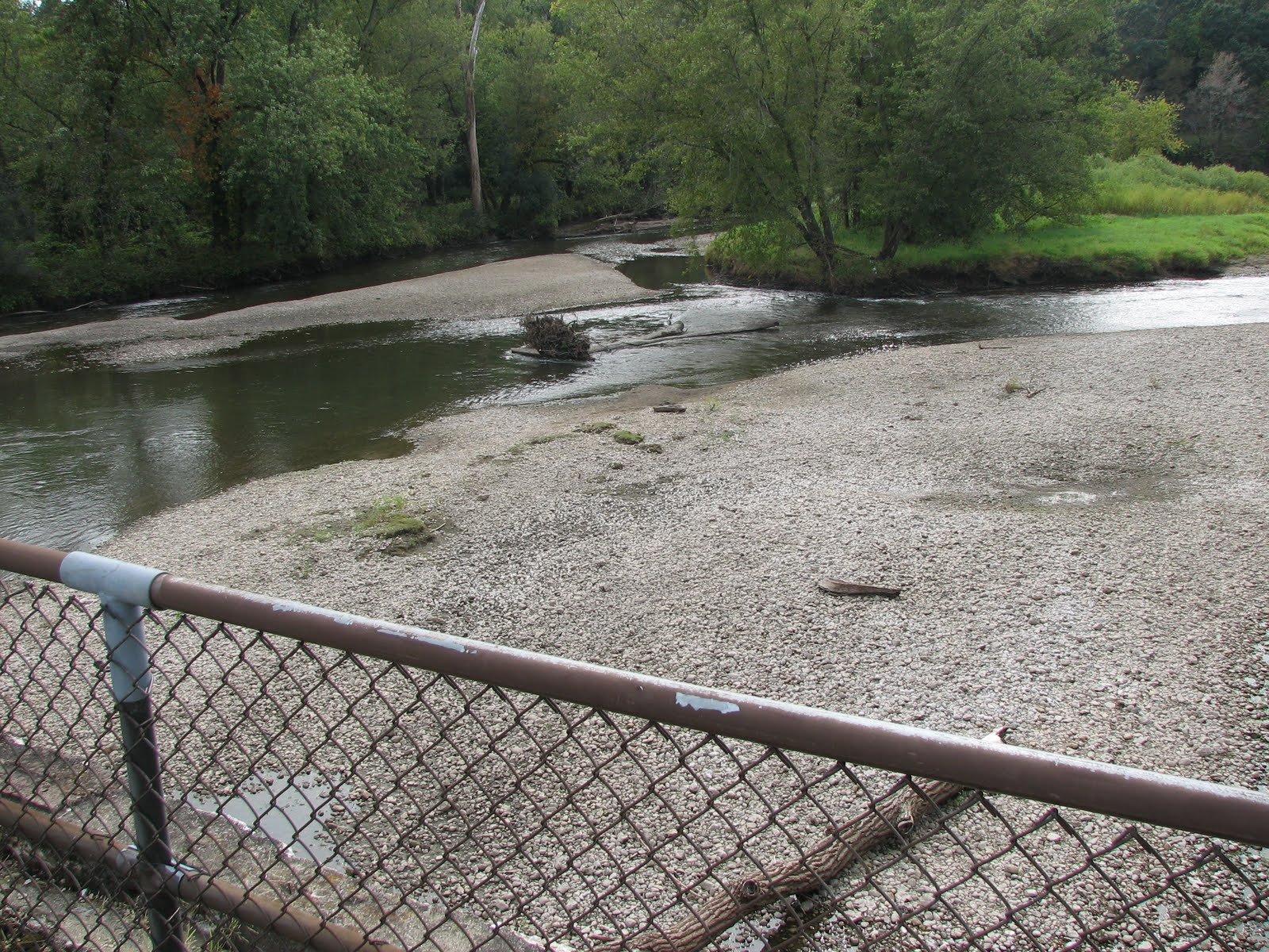 Musings from Illinois: Blackhawk Springs Forest Preserve Hike With the ...