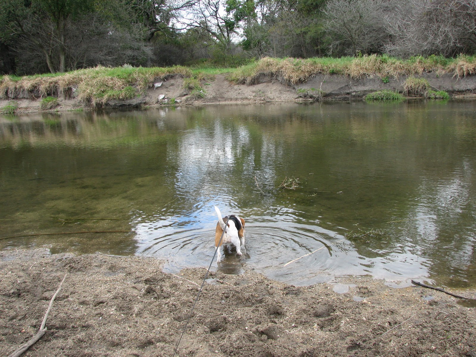 Musings from Illinois: Oak Ridge Forest Preserve 10-3-10