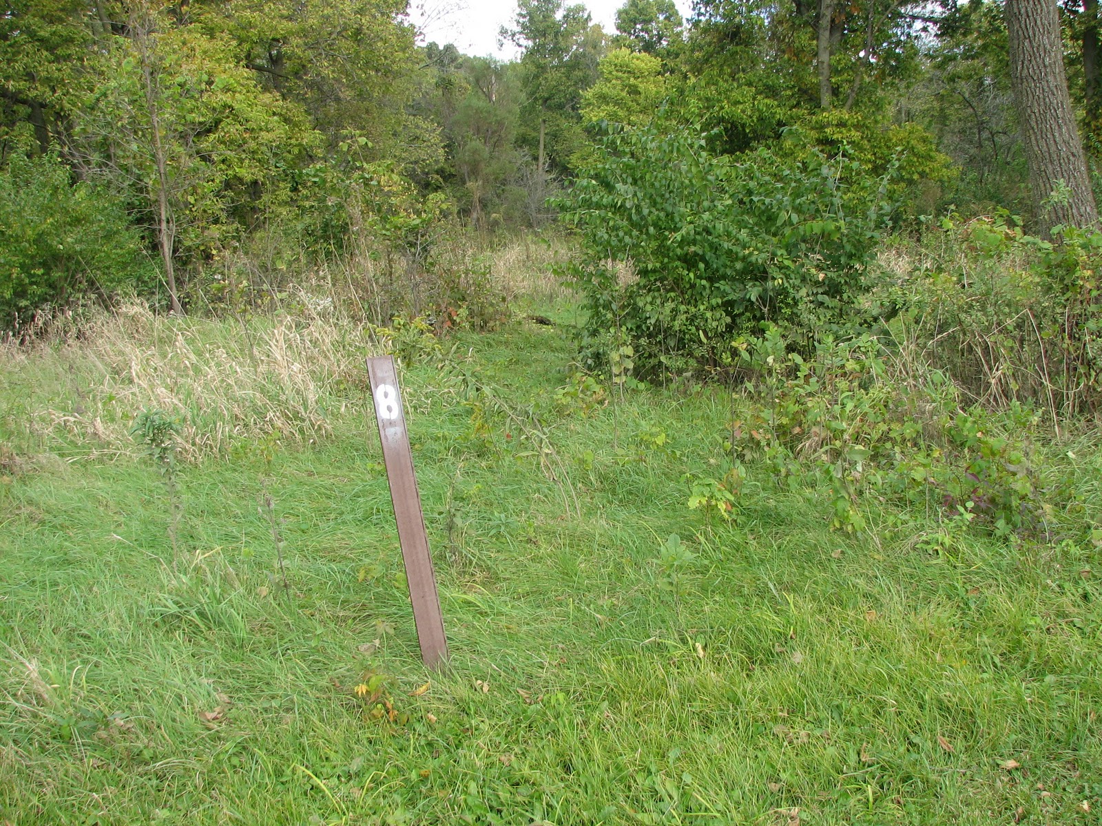 Musings from Illinois: Oak Ridge Forest Preserve 10-3-10