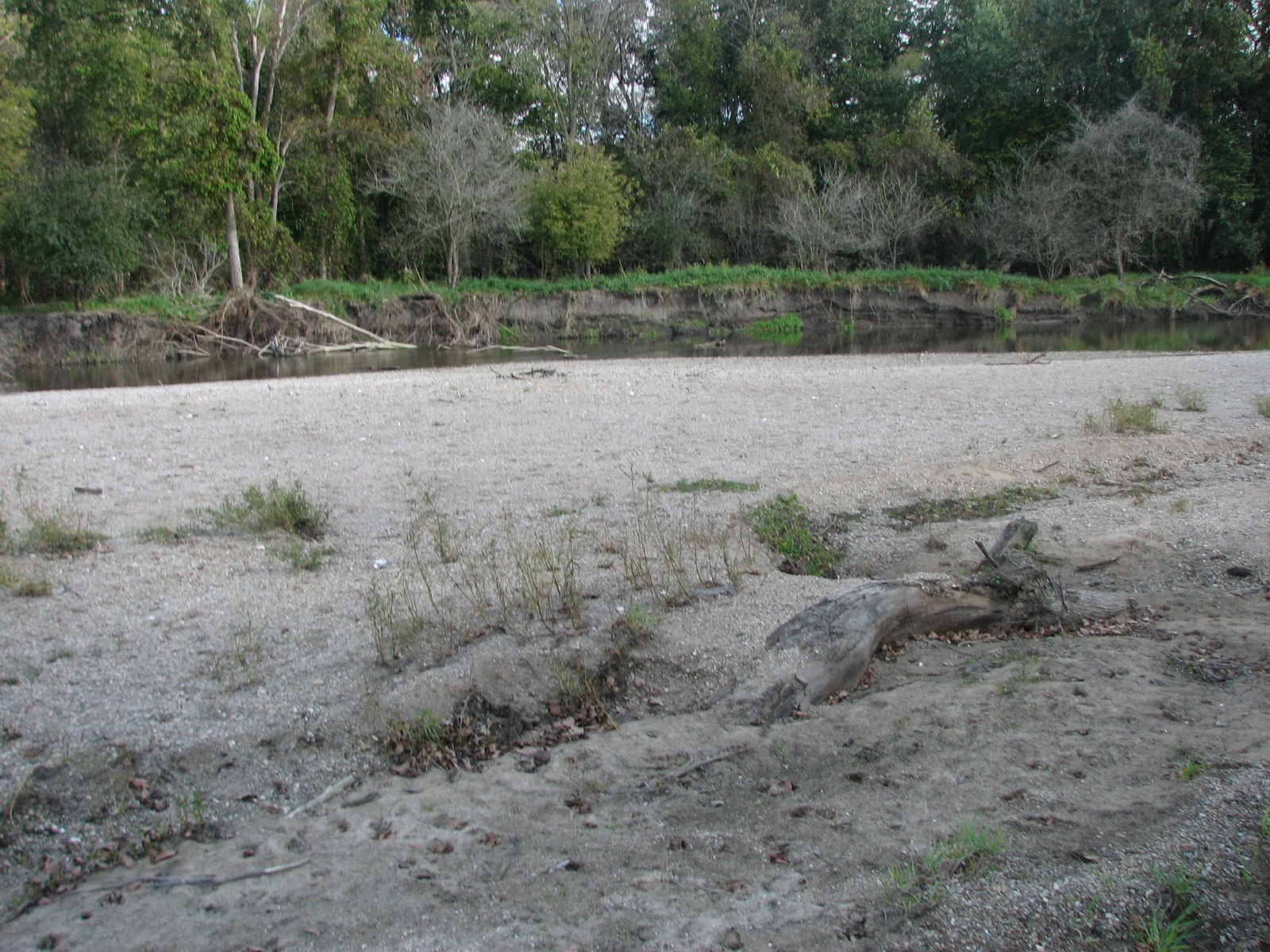 Musings from Illinois: Oak Ridge Forest Preserve 10-3-10