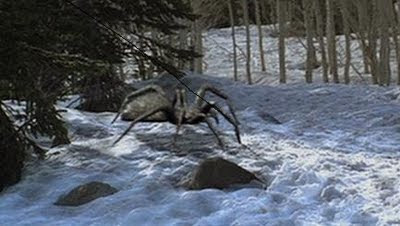 CASPOSHORROR: ICE SPIDERS , ¡¡LA PELICULA!!!