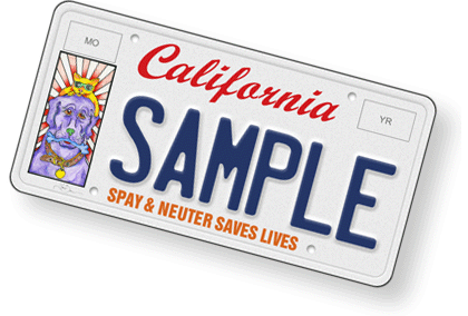 Doggie Matchmaker: Get your red-hot dog license plates right here! Save ...