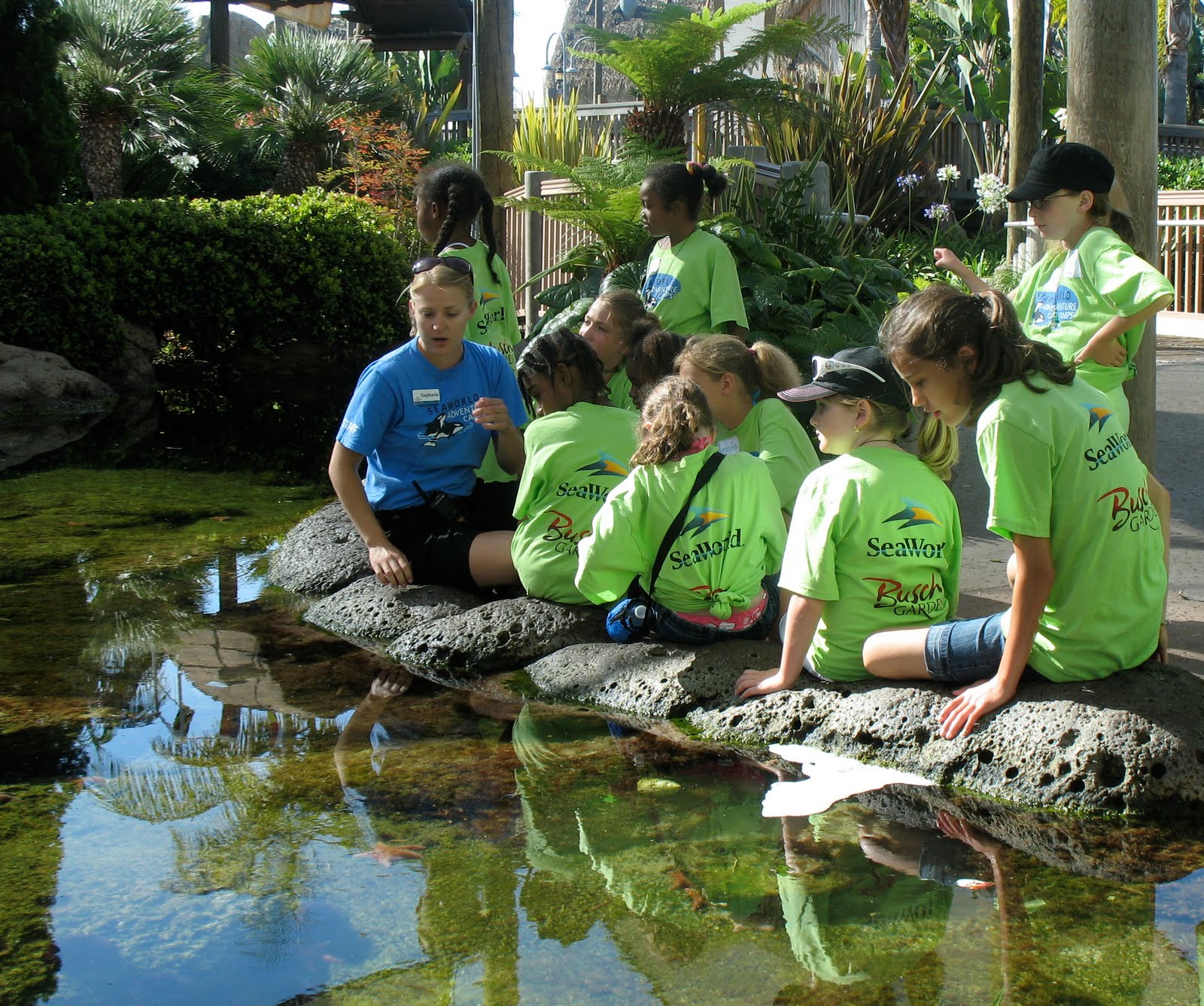 Hannah's Happenings: SeaWorld Sleepover