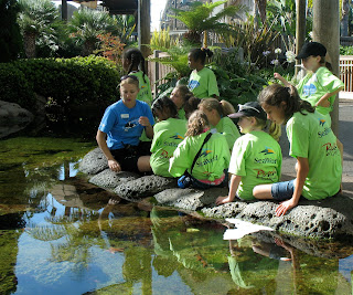 Hannah's Happenings: SeaWorld Sleepover