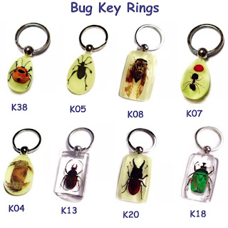 BUGFRIENDLY.COM: Bug Key Rings