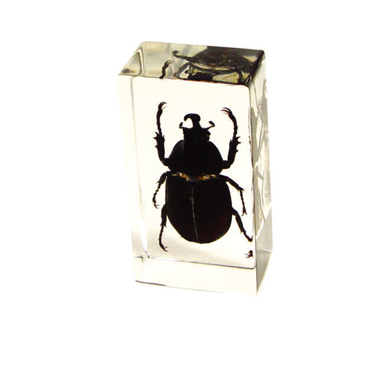 BUGFRIENDLY.COM: Bug Paperweights