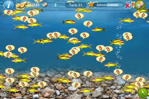 Tap Fish World Record Challenge: Day Thirteen: Love and Support from ...