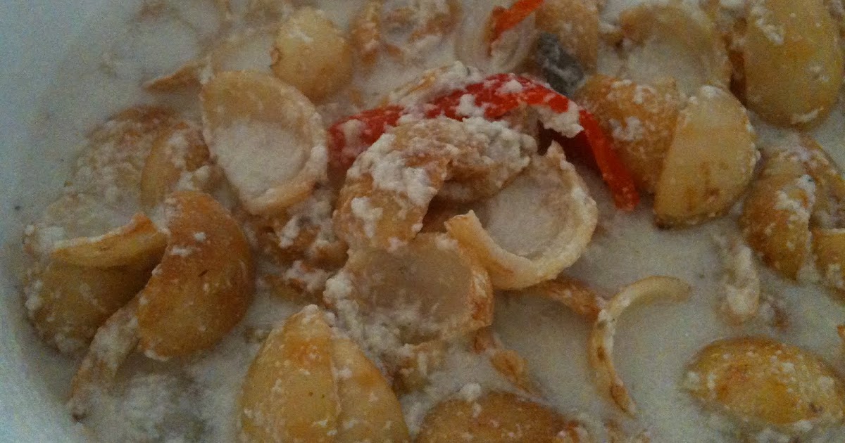 .::Haha No Aji::.: SAYUR KULIT RAMBAI