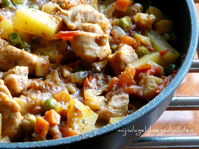 mijn dagelijkse gedachten: Estofado- peruvian stew with chicken