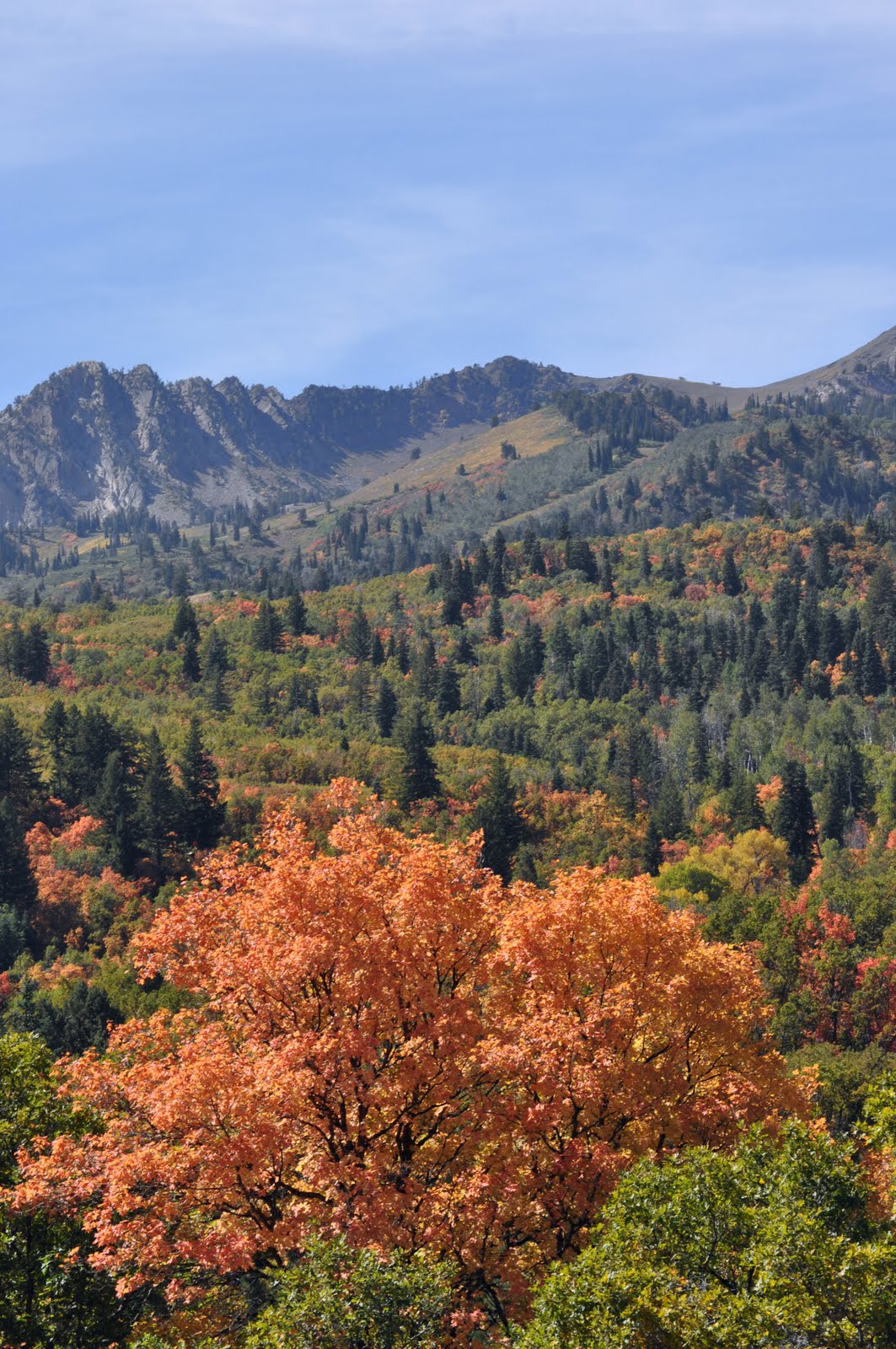 Utah Fall Color Watch: Fall in Ogden Valley