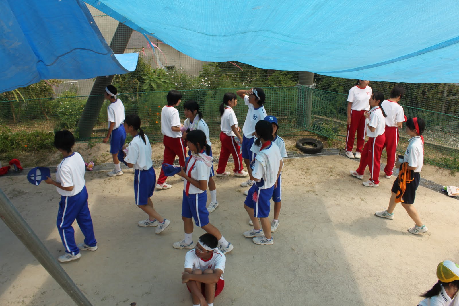 My AFS Japan experience