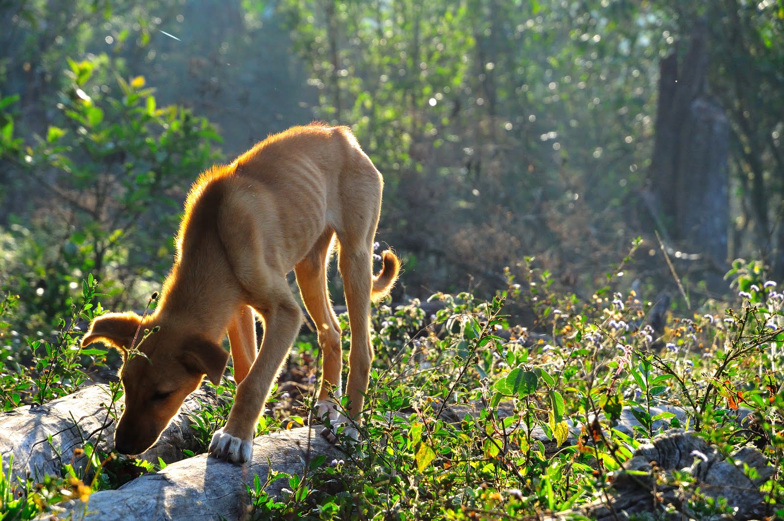 Exploring Medicine 2010: Reliving Honduras 2010 Through Pictures ...