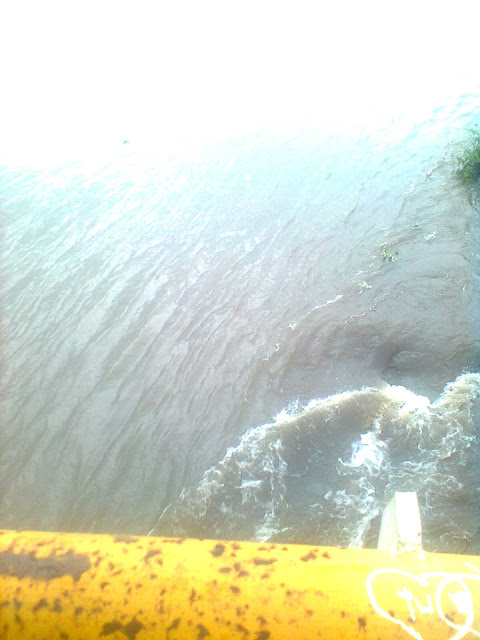 Ministerio Misionero de Profecía, Liberación, Sanidad y Consejería ...