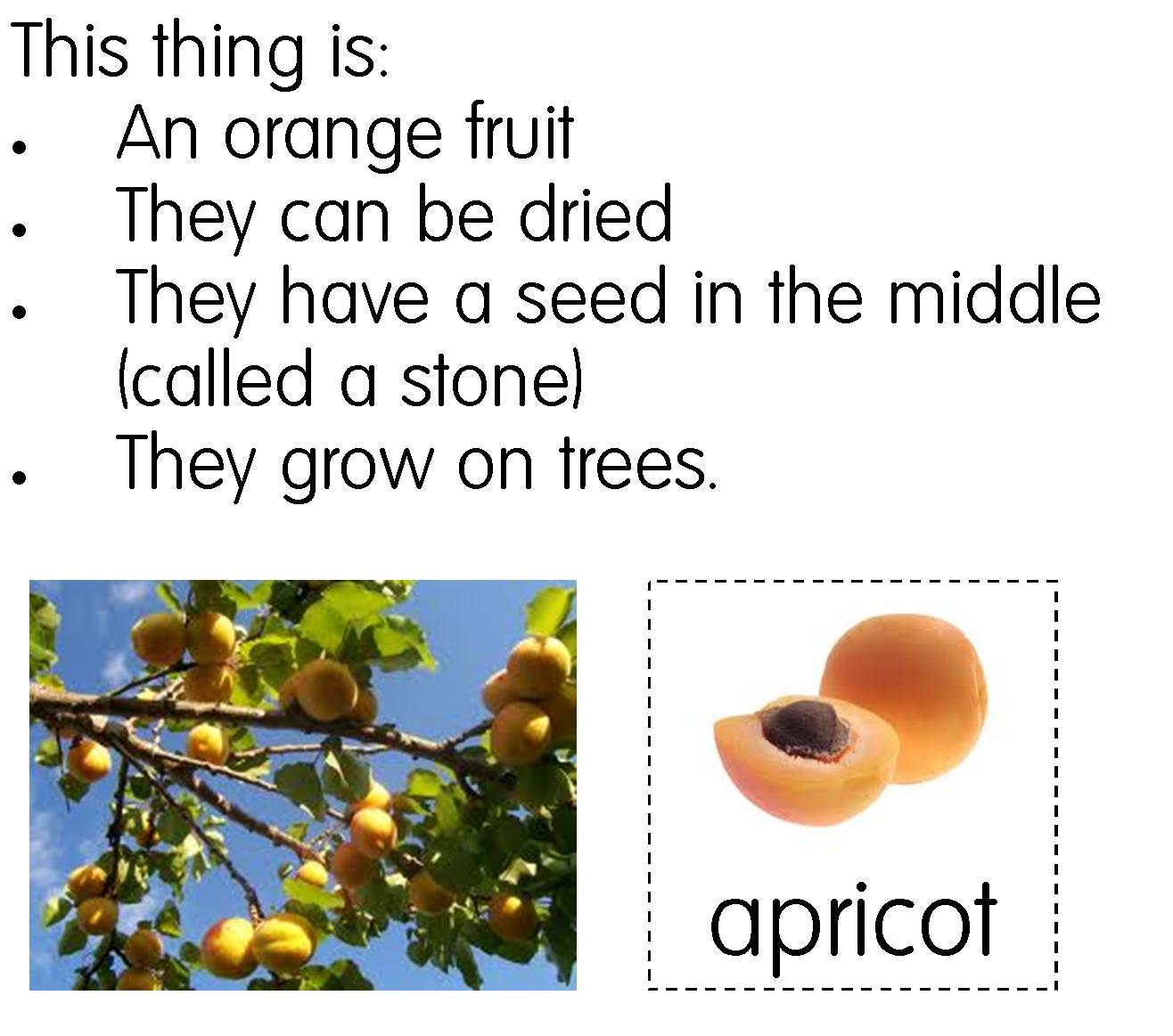 The Merry Mummy: Home Learning Activities To Try