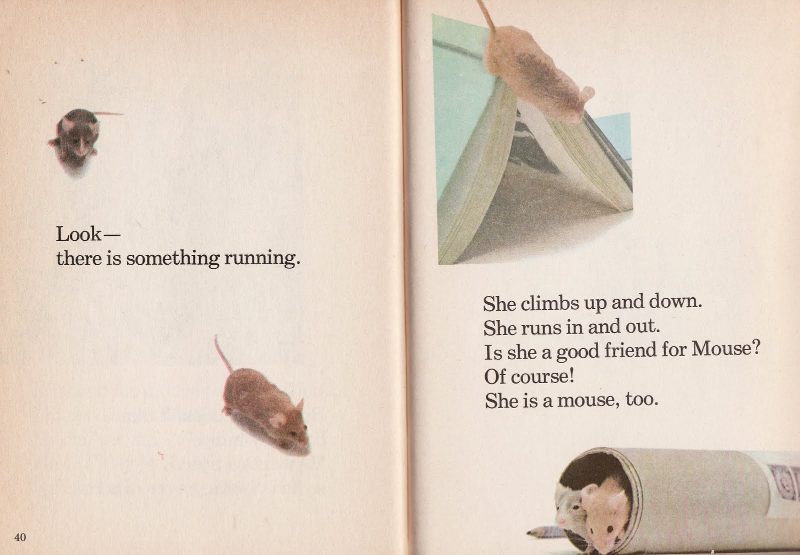 the marlowe bookshelf: The Mouse Book