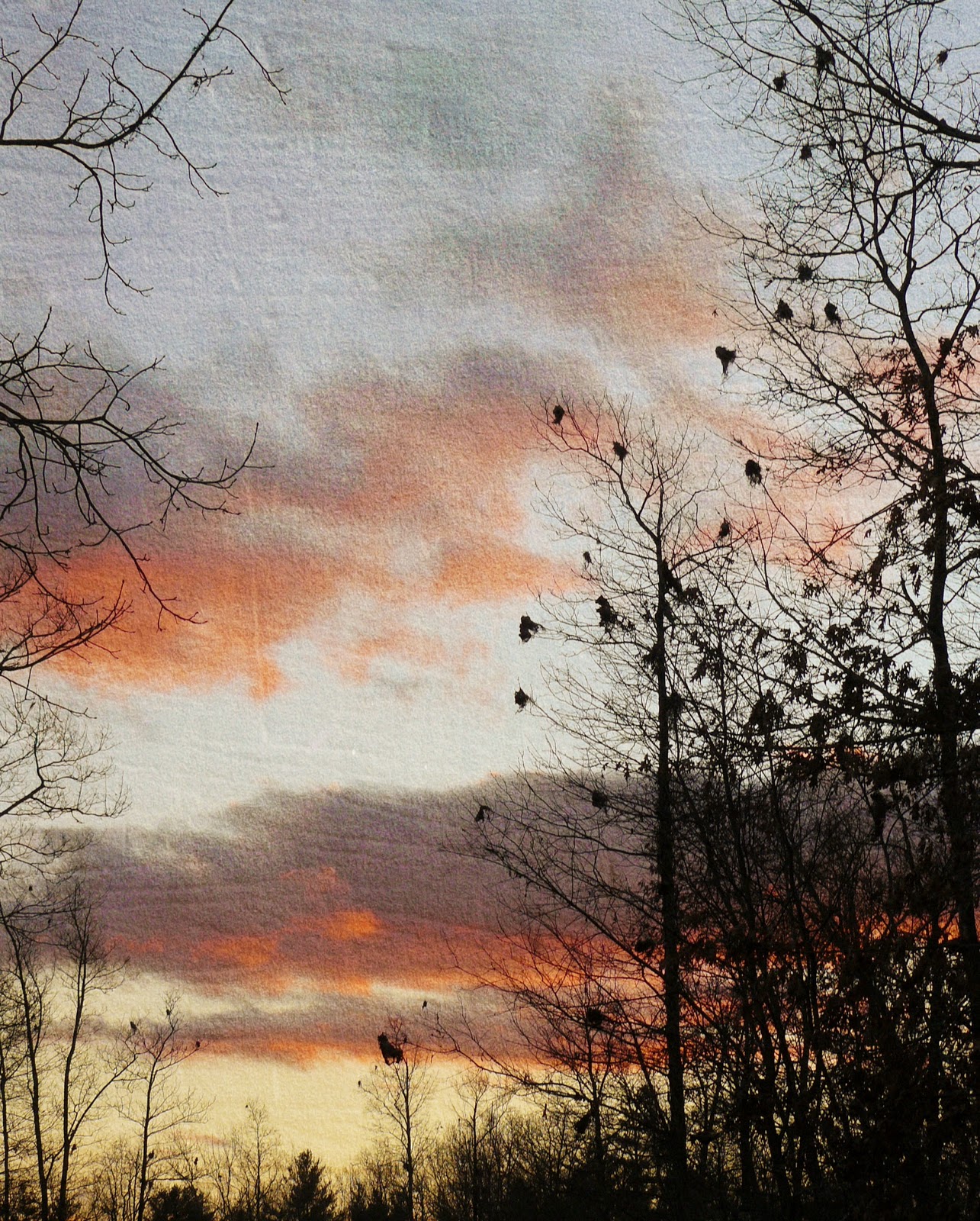Art By Amarose - Photographs by Anita Rosselle: Late November Dusk