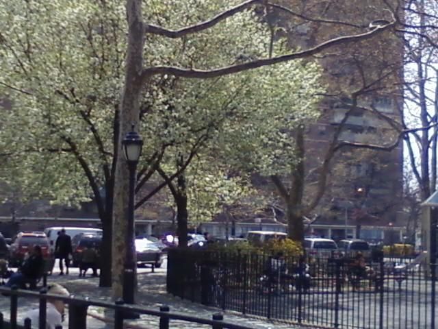 Dumbo Books of Brooklyn: Tuesday Afternoon in Williamsburg: Fun at ...