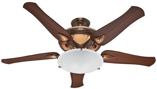 News-n-Views: June 2010