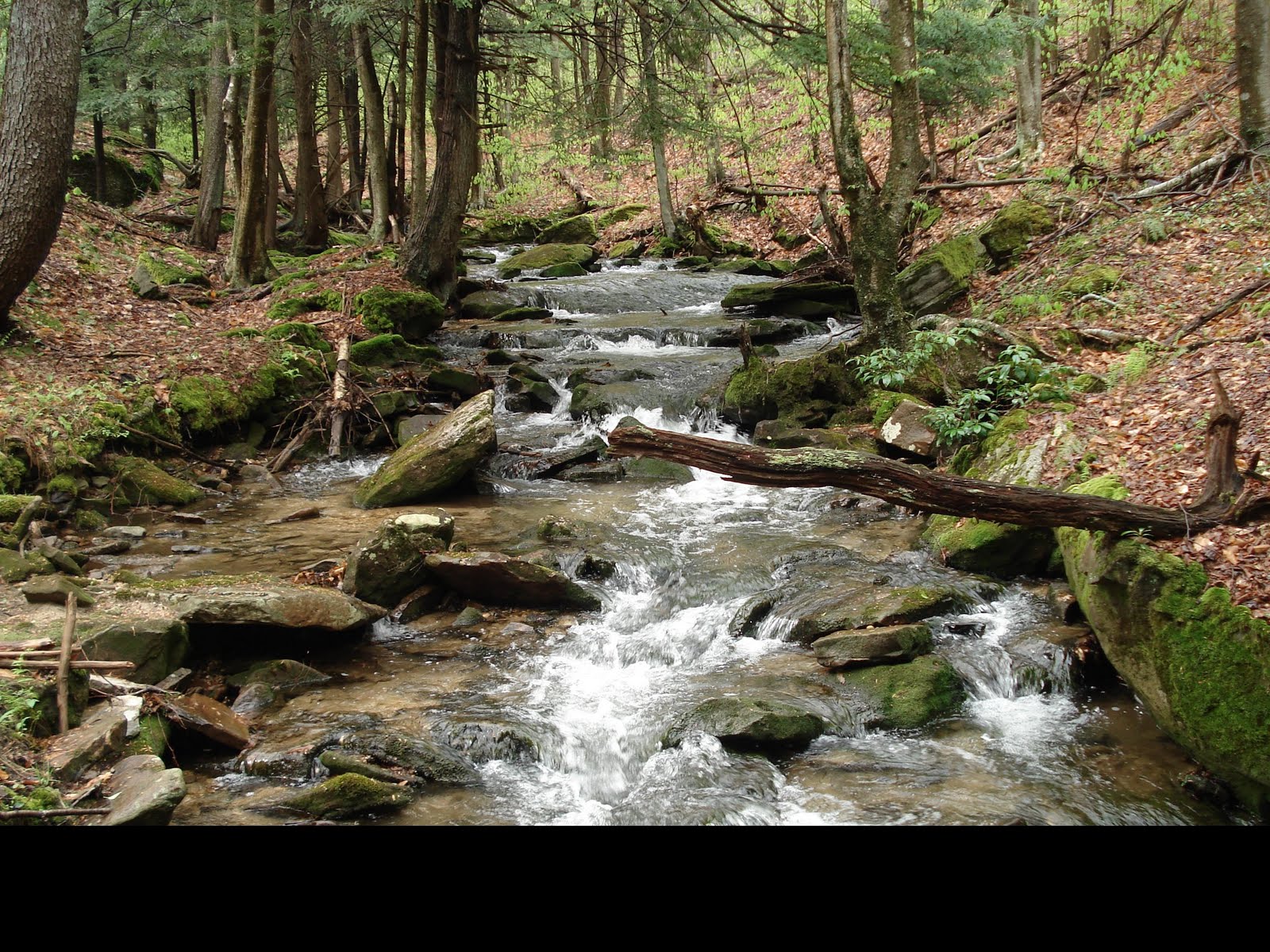 INDIA ON WHEELS - A trip for pleasure!: Pittsburgh Pennsylvania : The ...