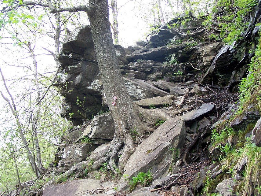 Hiking in the White Mountains: "The Devil's Playground"